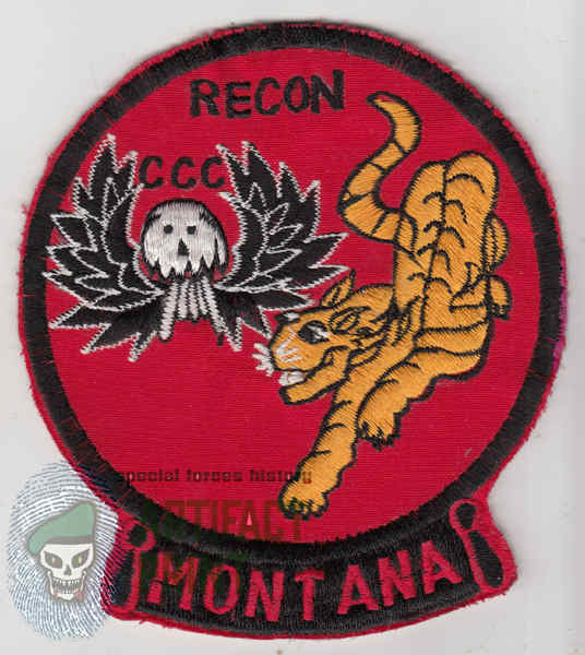 RECON TEAM MONTANA PATCH – Artifact | Special Forces History