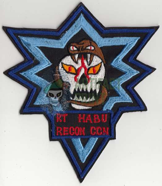 Recon Team Habu Pocket Patch, 4th Generation – Artifact | Special ...