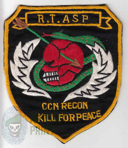 Recon Team Asp Pocket Patch, 4th Generation – Artifact | Special Forces ...