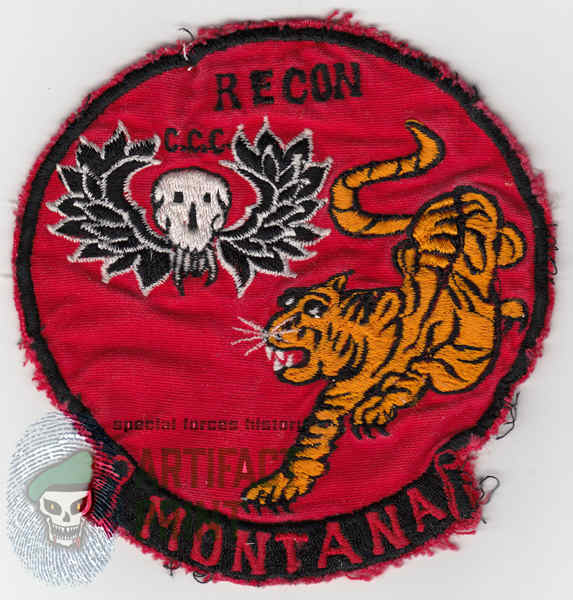RECON TEAM MONTANA PATCH – Artifact | Special Forces History