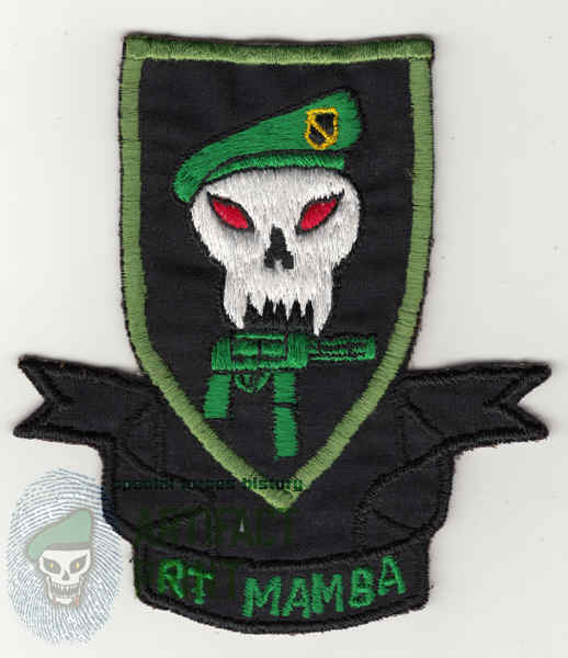 Recon Team Mamba Pocket Patch, 1st Generation – Artifact | Special ...