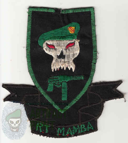 Recon Team Mamba Pocket Patch, 1st Generation – Artifact | Special ...