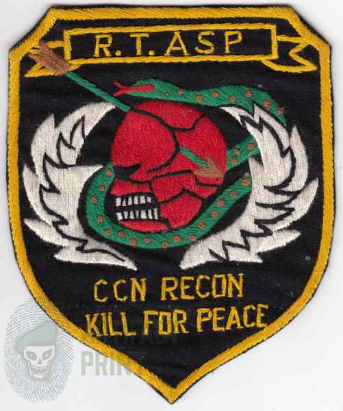Recon Team Asp Pocket Patch, 4th Generation – Artifact | Special Forces ...